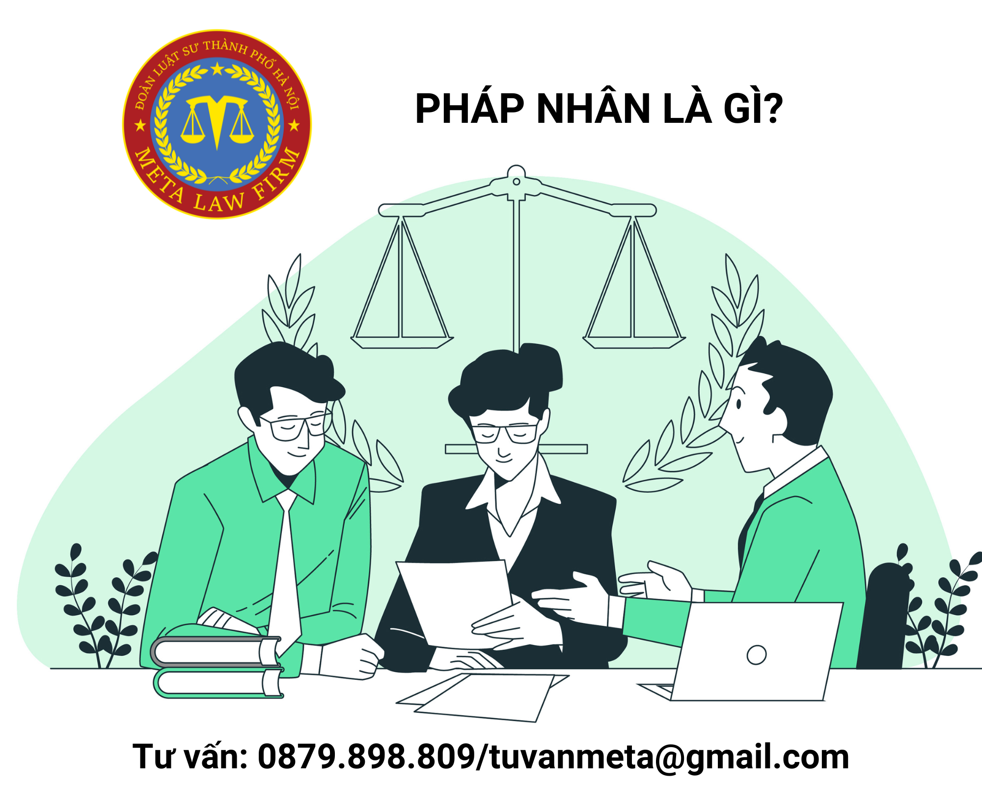 Pháp nhân là gì? - metaasia.vn